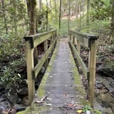 Pinnacle Overlook Trail, Kentucky - 182 Reviews, Map | AllTrails