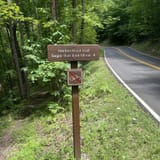 Pinnacle Overlook Trail, Kentucky - 196 Reviews, Map | AllTrails