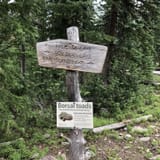 Grandaddy Basin Loop, Utah - 94 Reviews, Map | AllTrails