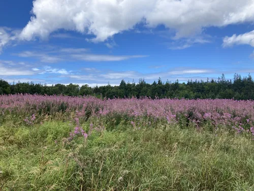10 Best Forest Trails in Prince Edward Island National Park | AllTrails