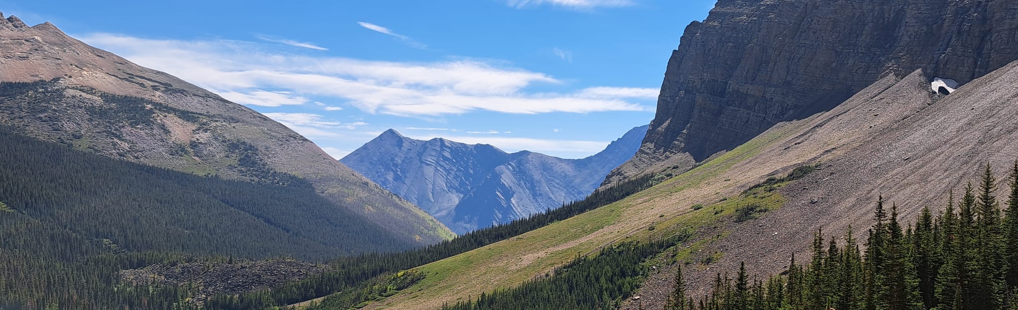Lineham Falls Trail: 361 Reviews, Map - Alberta, Canada | AllTrails