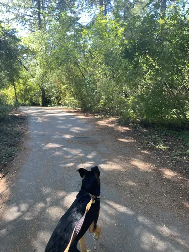 Best Hikes and Trails in Cuthbert Holmes Park | AllTrails