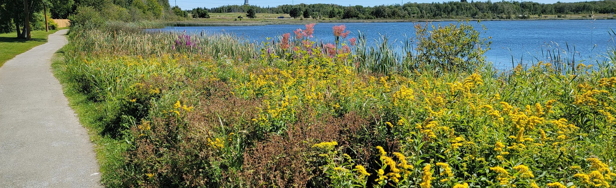 Gillies Lake, Ontario, Canada - 50 Reviews, Map | AllTrails