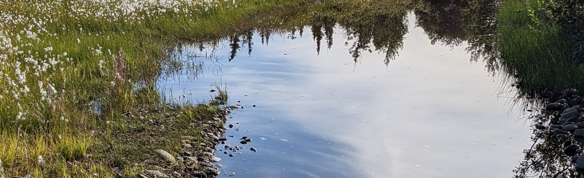 Stampede Trail to Sushana River, Alaska - 17 Reviews, Map | AllTrails