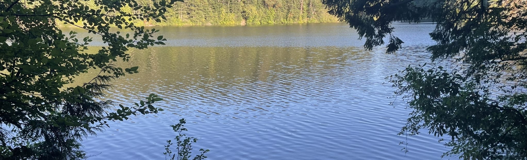 Mount Erie and Whistle Lake Loop: 1.014 fotos - Washington | AllTrails