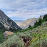 Grandjean Sawtooth Lake Loop, Idaho - 130 Reviews, Map | AllTrails