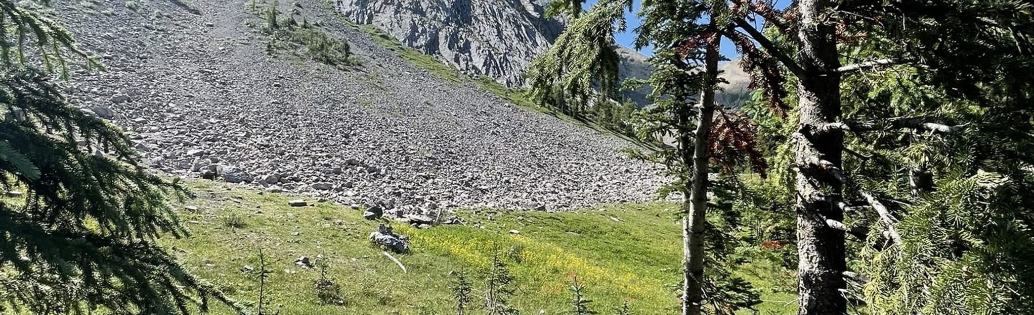 Mount Aeneas via Pedley Pass, British Columbia, Canada - 25 Reviews ...