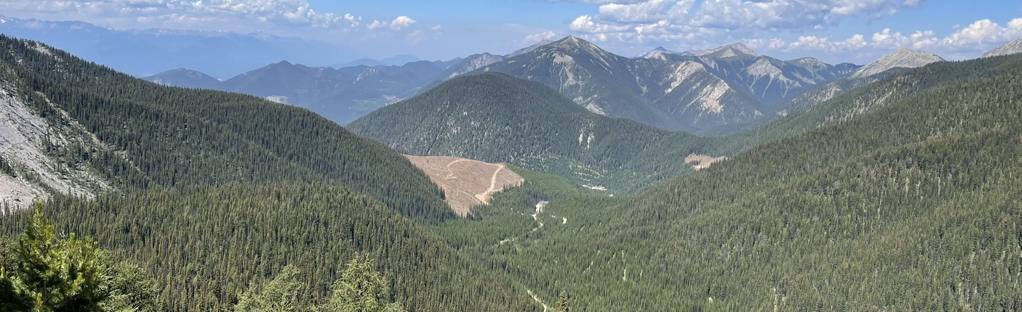 Pedley Pass Trail to Ridge: 270 foto's - Brits-Columbia, Canada | AllTrails