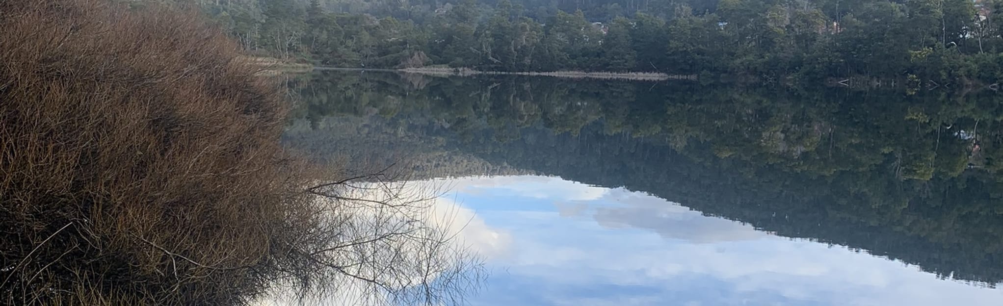 Derby Lake Loop: 30 Reviews, Map - Tasmania, Australia | AllTrails