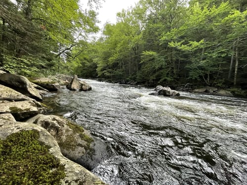 2023 Best trails in Lake Francis State Park | AllTrails