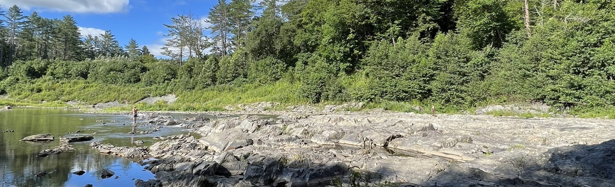 Ponds Loop: 17 Reviews, Map - Vermont | AllTrails