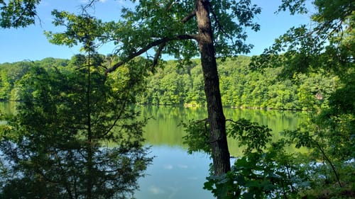 2023 Best 10 Trails and Hikes in Bloomington | AllTrails