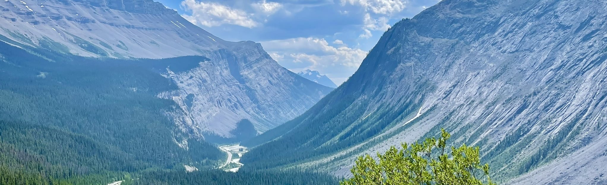 Big Bend Peak: 10 Reviews, 23 Photos, Map - Alberta, Canada | AllTrails