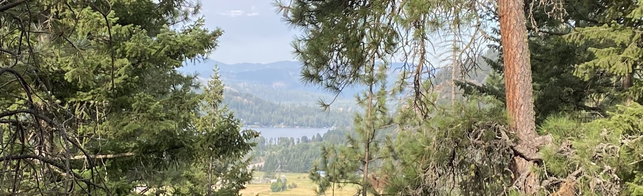 Cardiac Bypass and Heart Rate Hill Loop, Idaho - 4 Reviews, Map | AllTrails