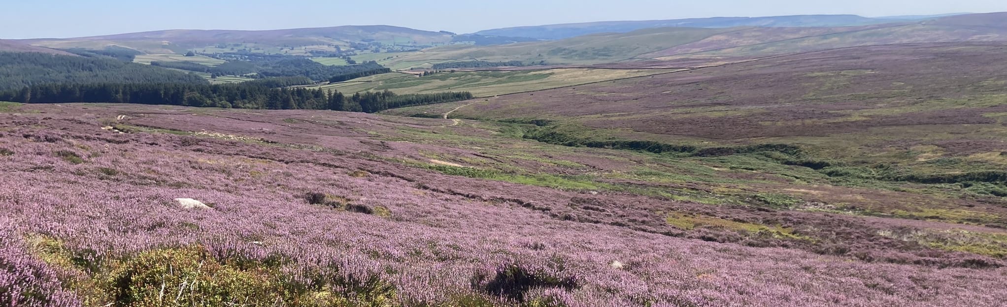 Embsay Moor, Barden Moor, and Barden and Thorpe Fell Circular, 508 ...