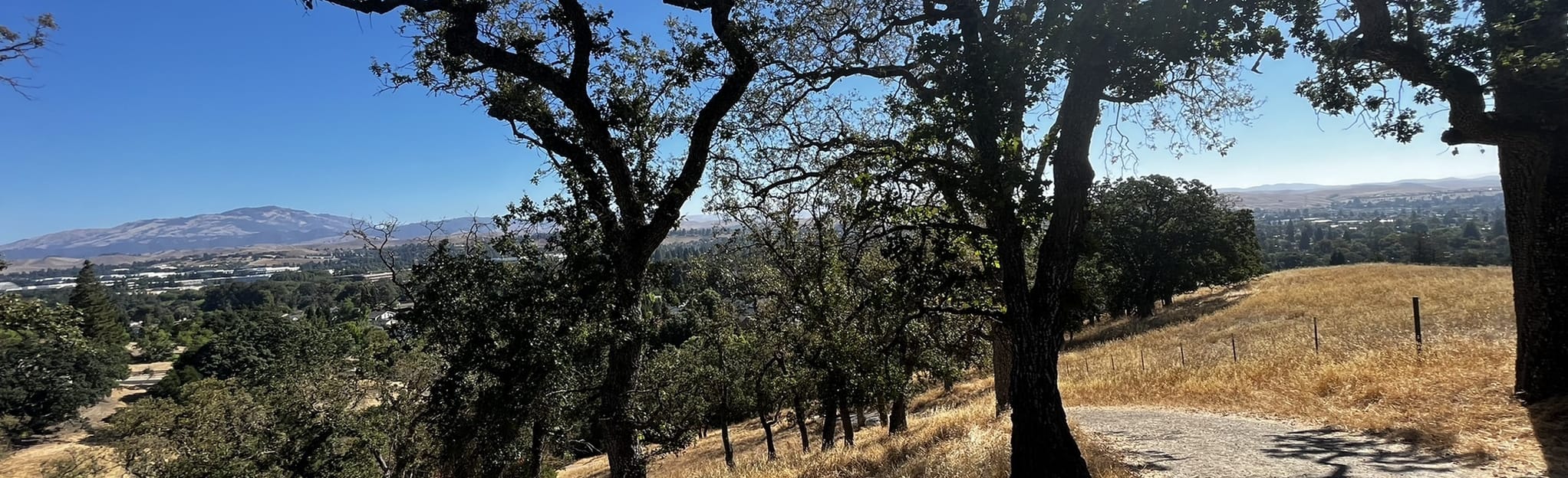 Bishop Ranch Regional Open Space Preserve Loop - California | AllTrails