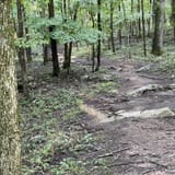 Hickory Ridge Outer Trail, Tennessee - 374 Reviews, Map | AllTrails
