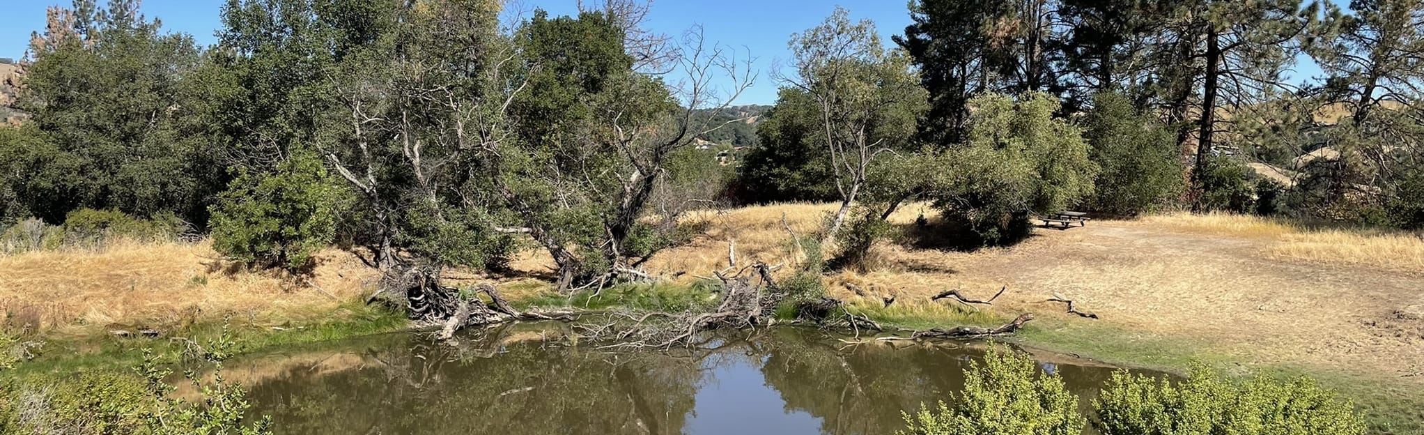 Orchard Trail, Toyon Trail, Lagoon Trail Loop | Map, Guide - California ...