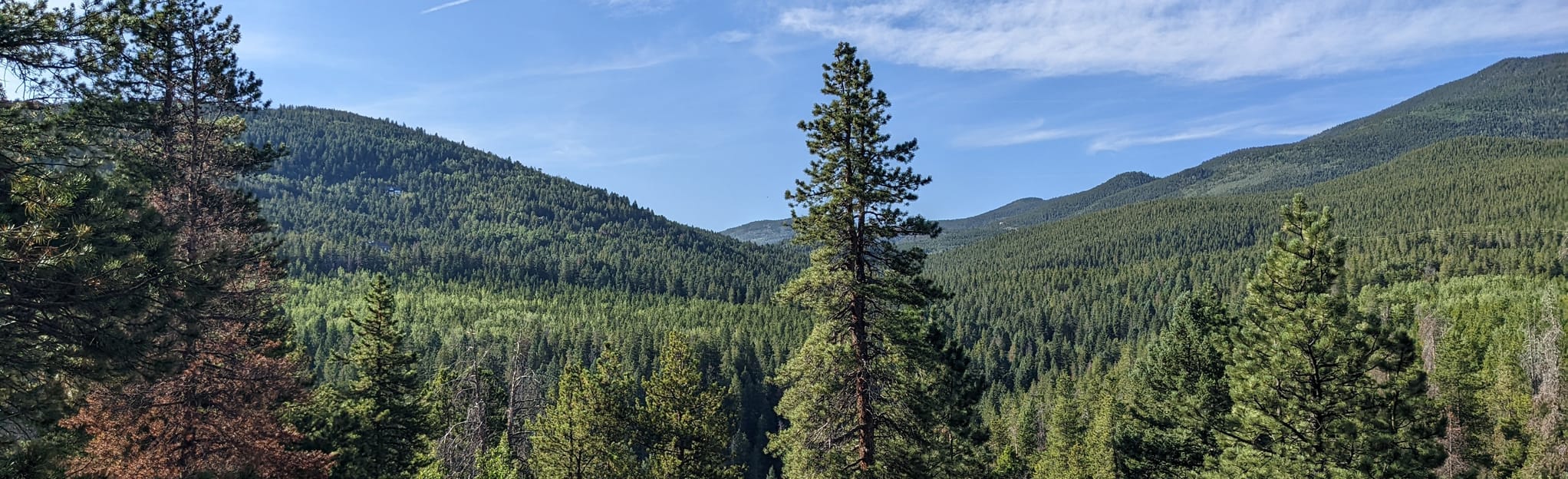 Upper Maxwell Falls Trail: 1829 Reviews, Map - Colorado | AllTrails