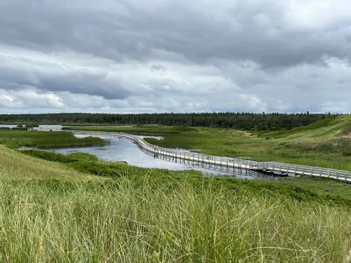 10 Best Trails and Hikes in Prince Edward Island | AllTrails