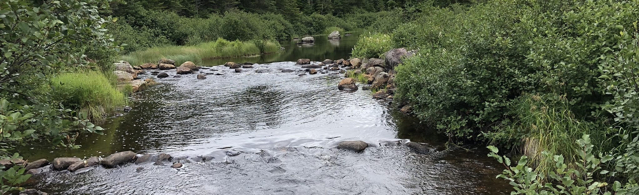 Lac à Noel et Lac du Bec Croche : 48 Photos - Québec, Canada ...