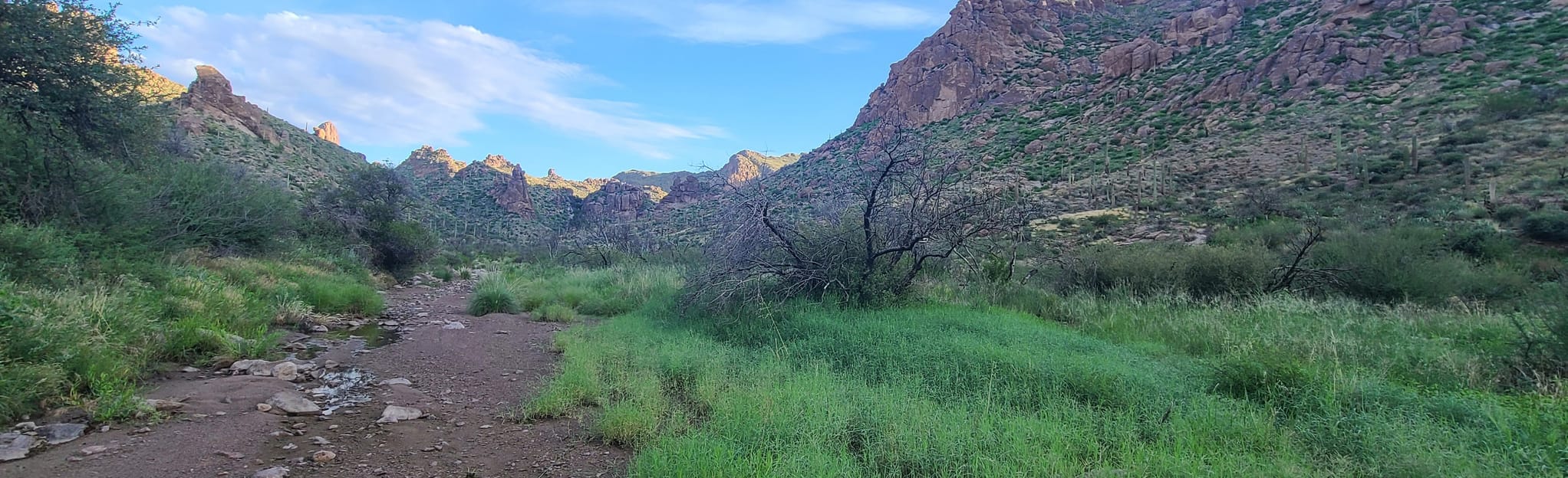 Dutchman's Trail, Whiskey Spring, Red Tanks and Bluff Spring Loop ...