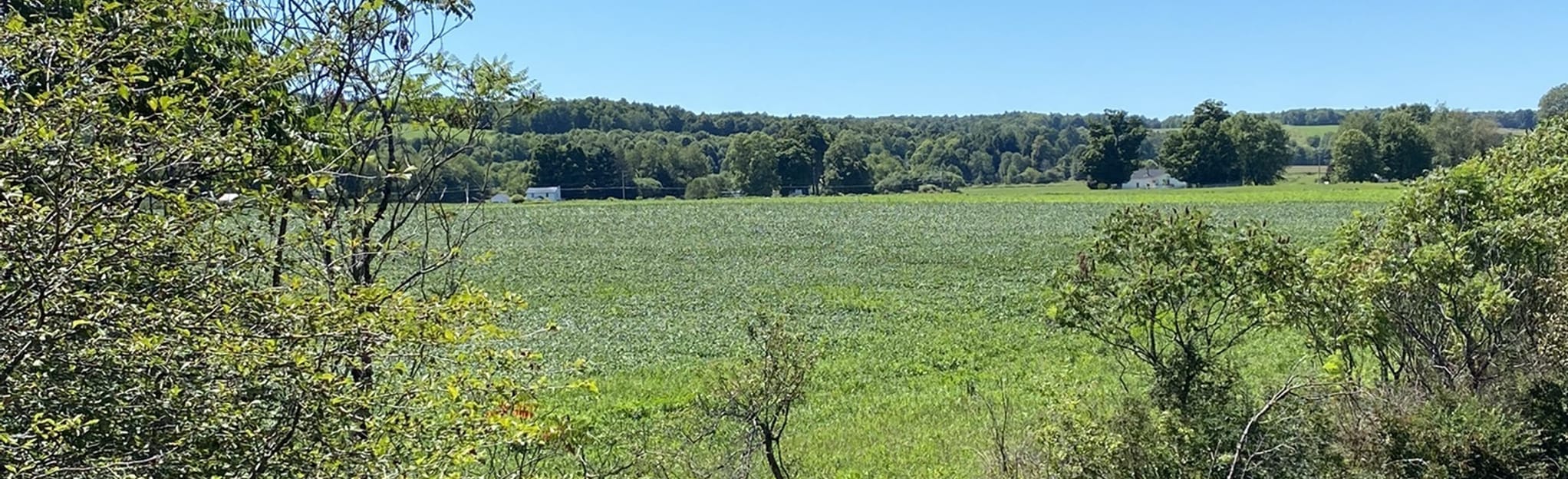 Corry Junction Greenway Trail: 103 Reviews, Map - Pennsylvania | AllTrails