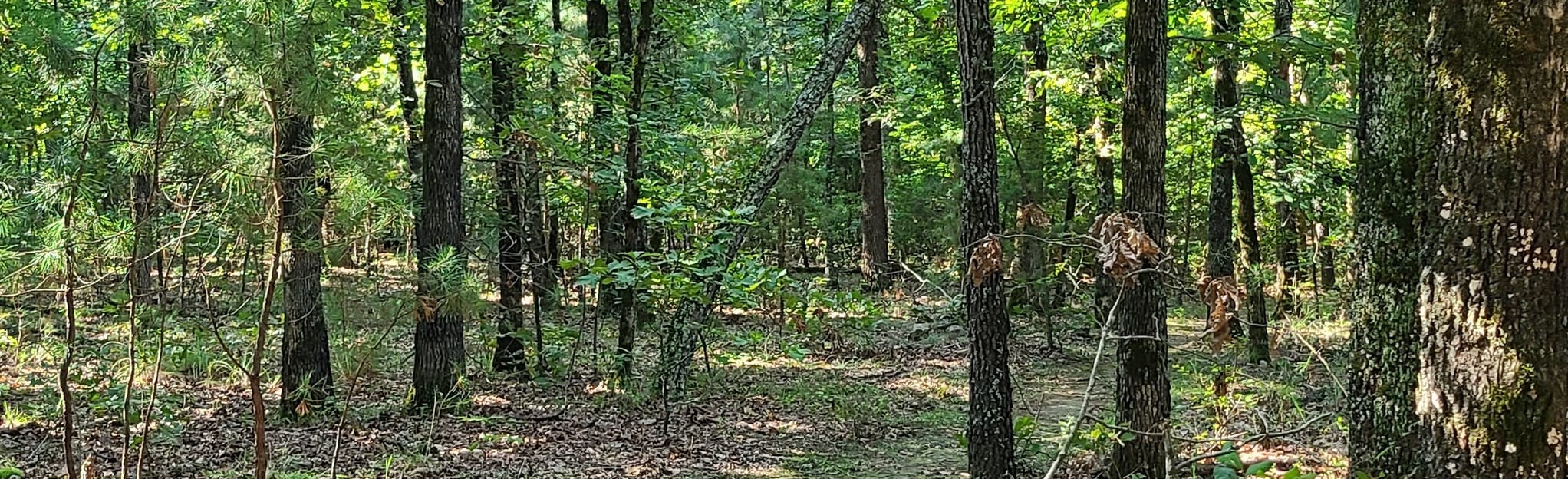 Little Brother Loop, Oklahoma - 56 Reviews, Map | AllTrails