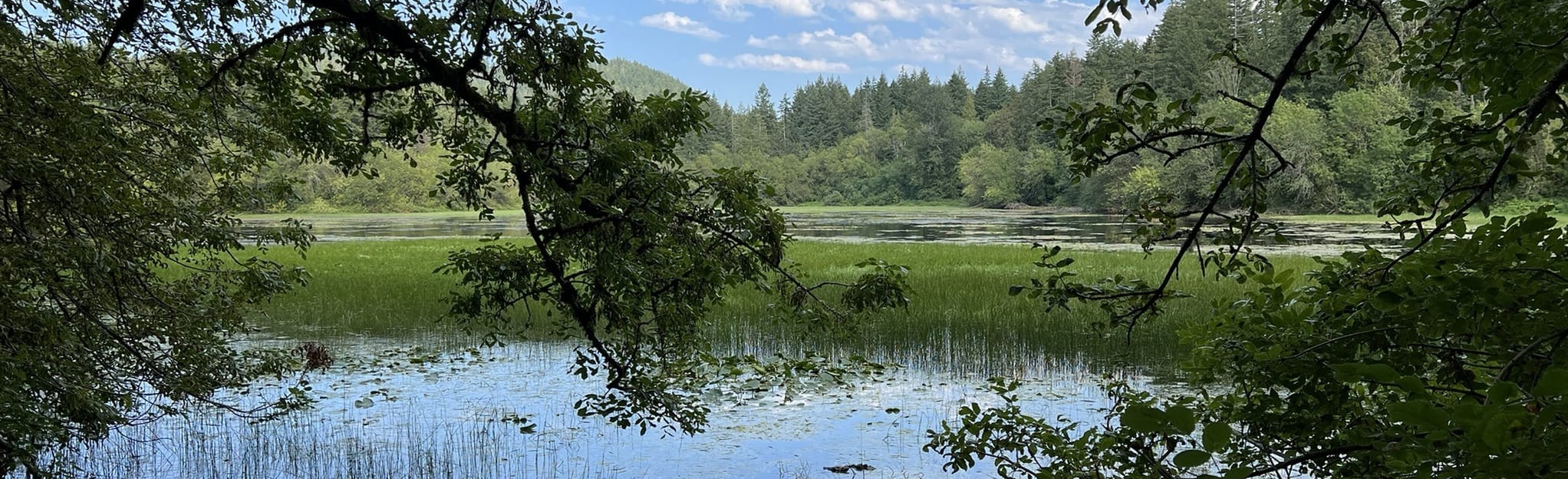 Tradition Plateau Loop, Washington - 322 Reviews, Map | AllTrails