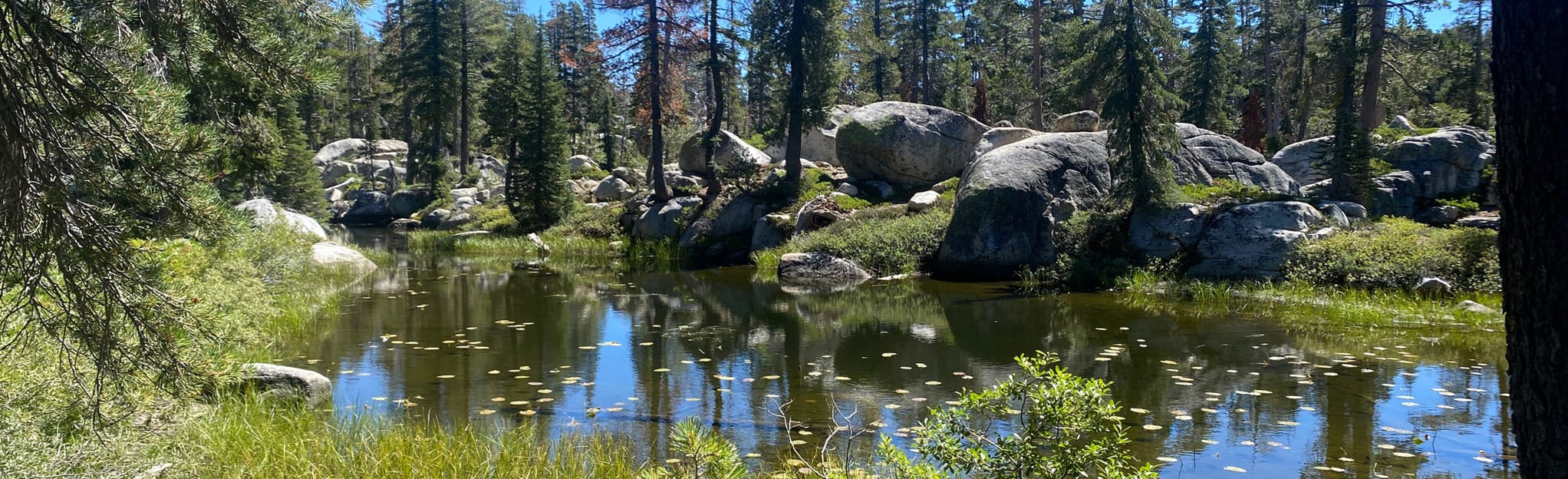 Mossy Pond via Glacier Lakes Basin, Mossy Pond East, and West Loop: 5 Reviews, Map - California ...