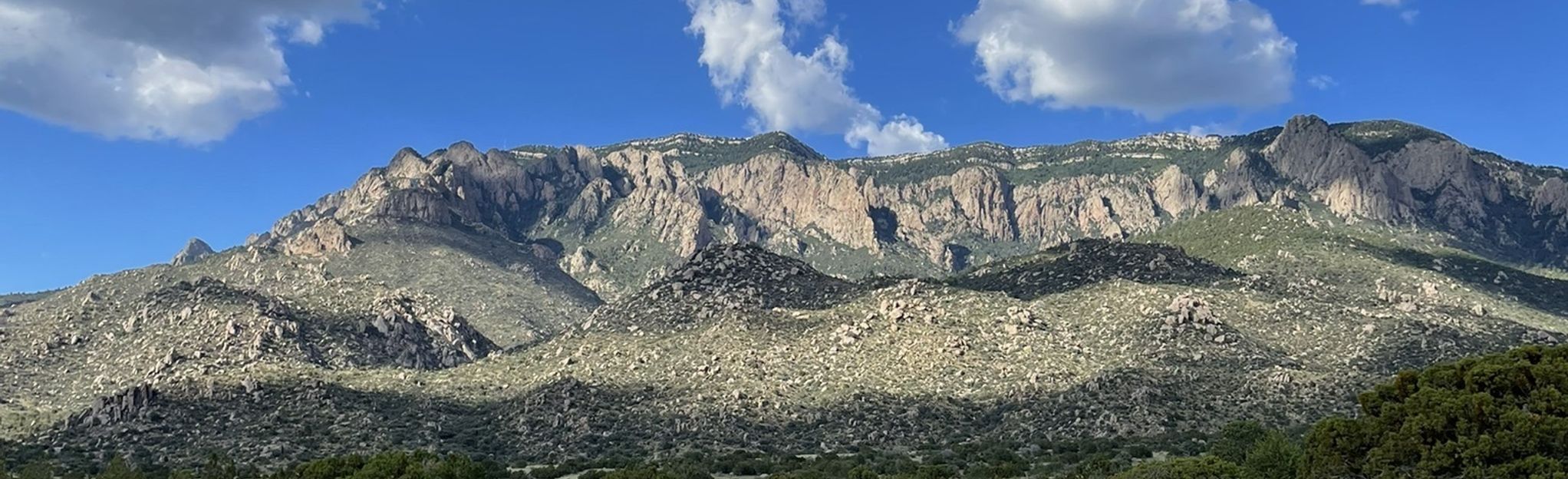 AllTrails | Oso Ridge, South Crest, and Pino Trails: 25 Reviews, Map ...