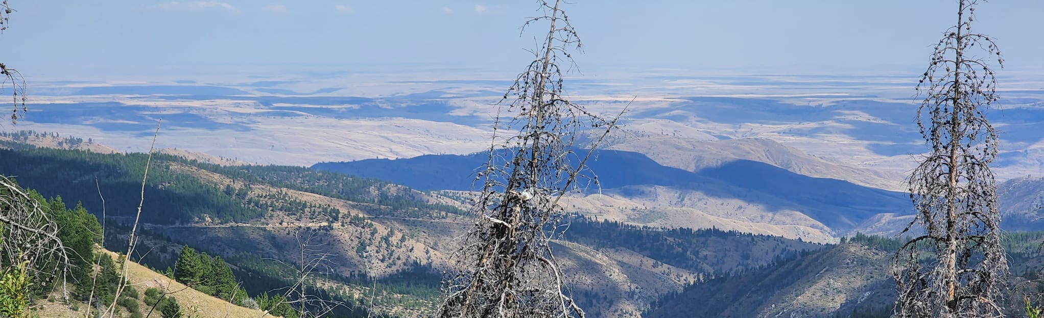 Grade Creek to Cooper Ridge: 5 Reviews, Map - Washington | AllTrails