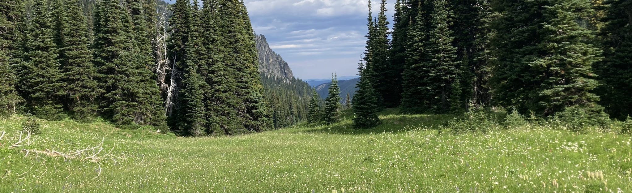 Berkeley Park Trail: 260 Reviews, Map - Washington | AllTrails