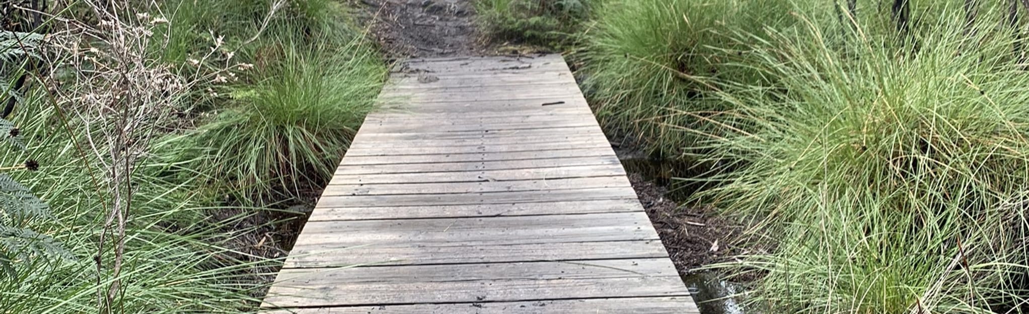 Peter Murrell Reserve Nature Trail, Tasmania, Australia - 13 Reviews ...