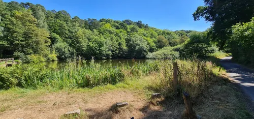 10 Best Hikes and Trails in Surrey Hills National Landscape (AONB ...