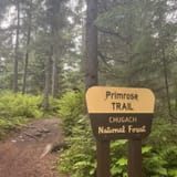 Lost Lake via Primrose Trail, Alaska - 255 Reviews, Map | AllTrails