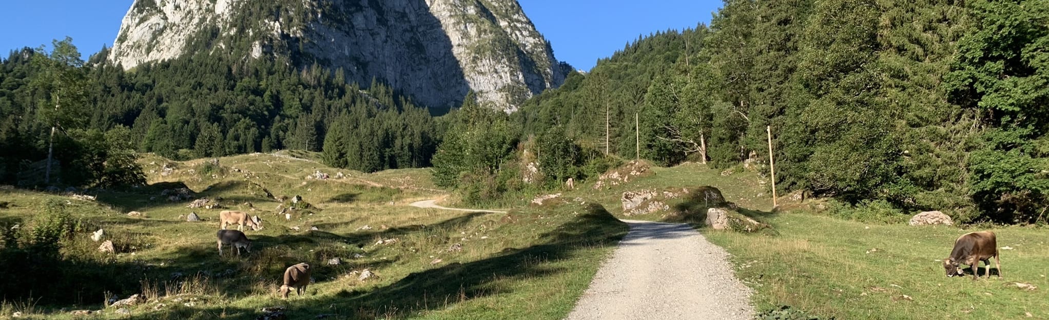 Brunni - Holzegg: 1 Reviews, Map - Schwyz, Switzerland | AllTrails