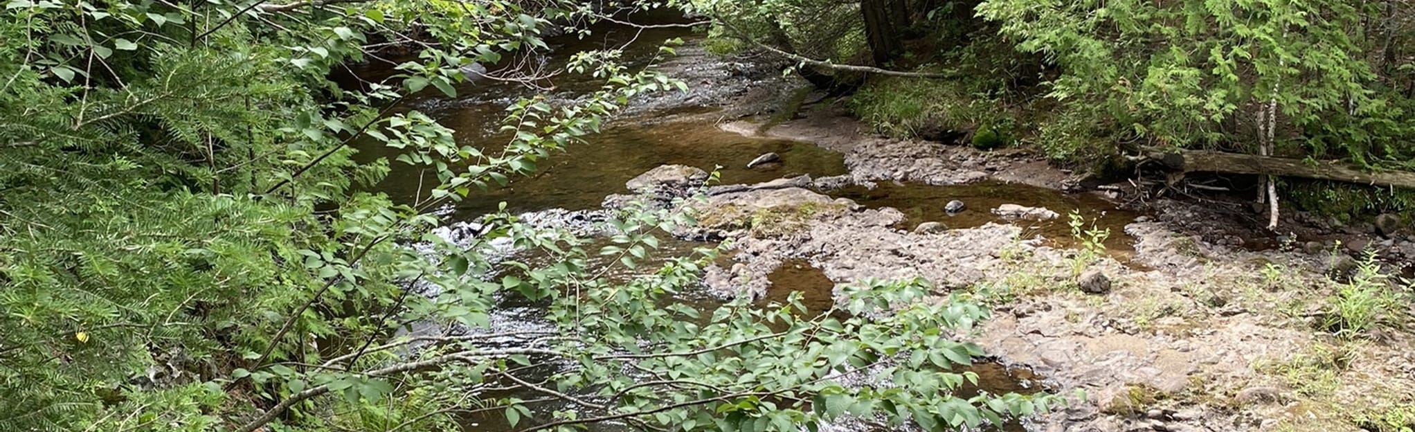 Conglomerate Falls : 43 Reviews, Map - Michigan | AllTrails