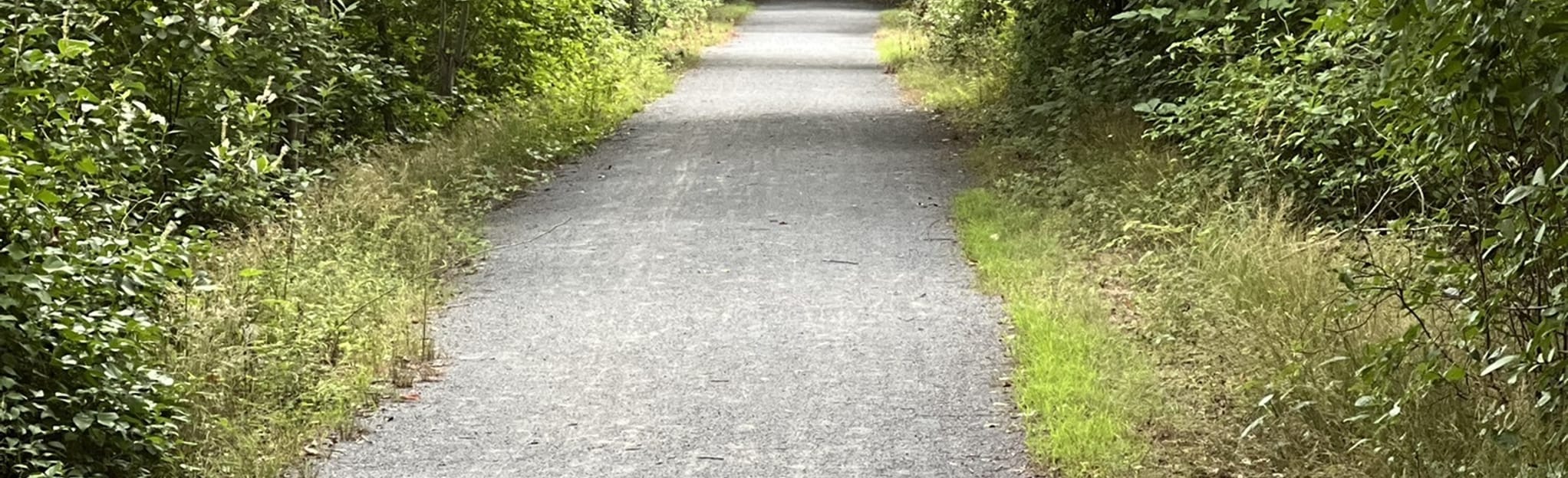 AllTrails | Whitney Spur Bikeway to Wompatuck Bikeway: 453 Reviews, Map ...