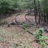 Whitney Spur Bikeway to Wompatuck Bikeway, Massachusetts - 471 Reviews ...