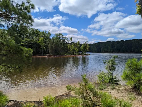 Best Hikes and Trails in Blue Jay Point Country Park | AllTrails