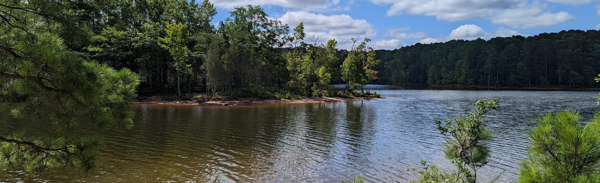 Blue Jay Point Nature Walk: 345 Reviews, Map - North Carolina | AllTrails
