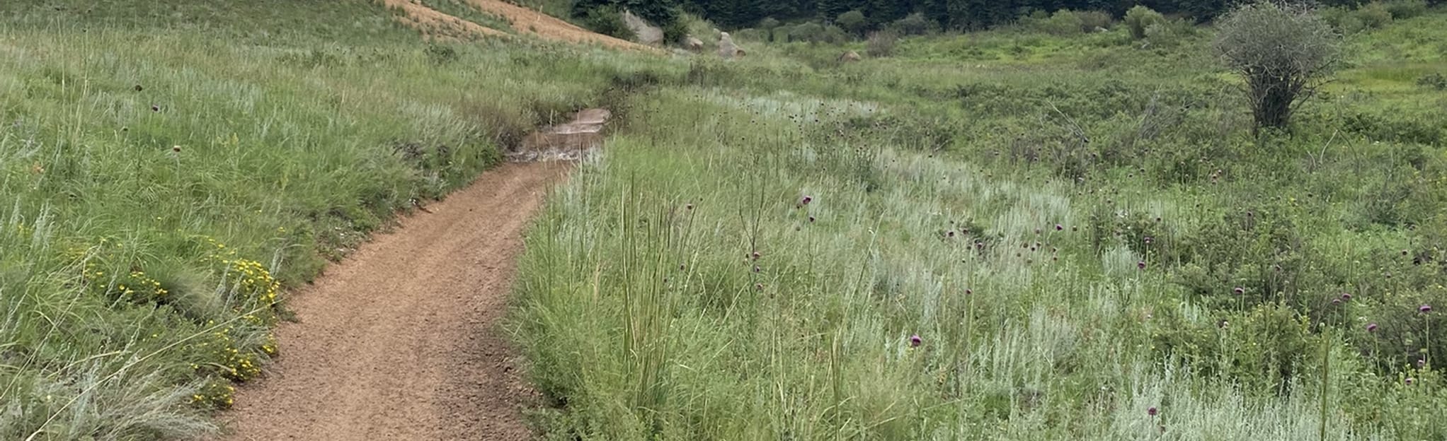 North Divide Trail 717A to 717F Loop: 42 Reviews, Map - Colorado ...