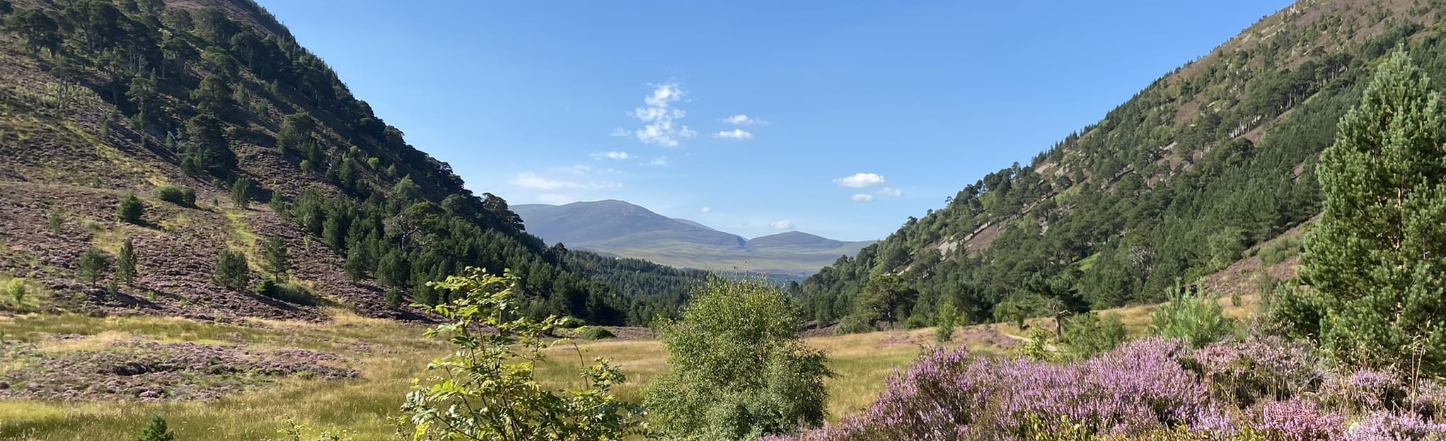 Glenmore - Loch Avon - Nethy Bridge | Map, Guide - Highlands, Scotland ...