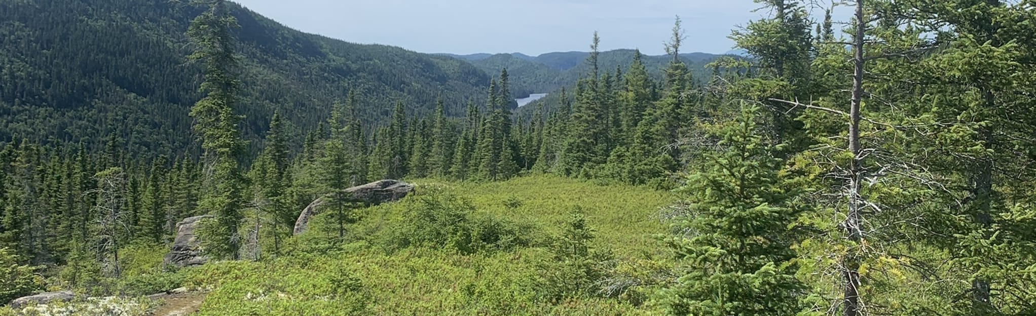Milieu Mountain via Sentier les Caps, Quebec, Canada - 28 Reviews, Map ...