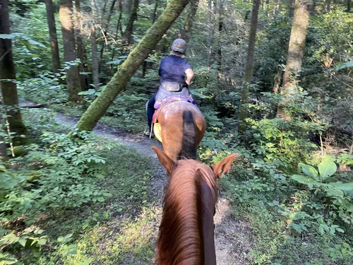 Best Hikes and Trails in Stampede Run Horse Camp | AllTrails