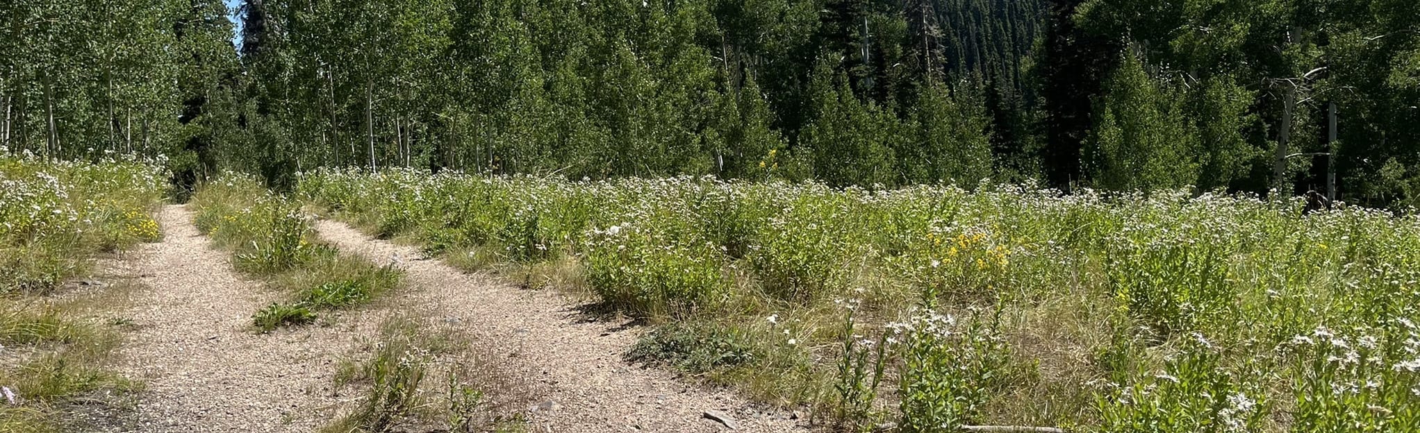 Rabbit Ears 1c: 161 Reviews, Map - Colorado | AllTrails