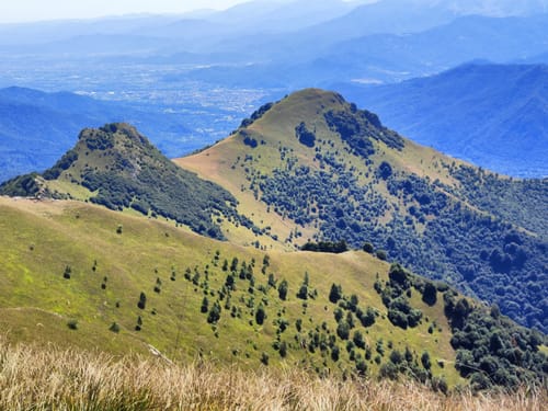 2023 Best Hard Trails in Demonte | AllTrails