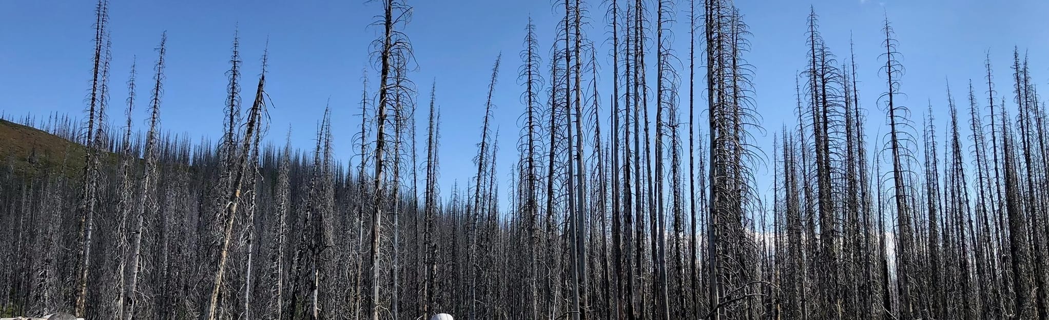 AllTrails | Corral Pass Campground to Hidden Lake: 9 Reviews, Map ...