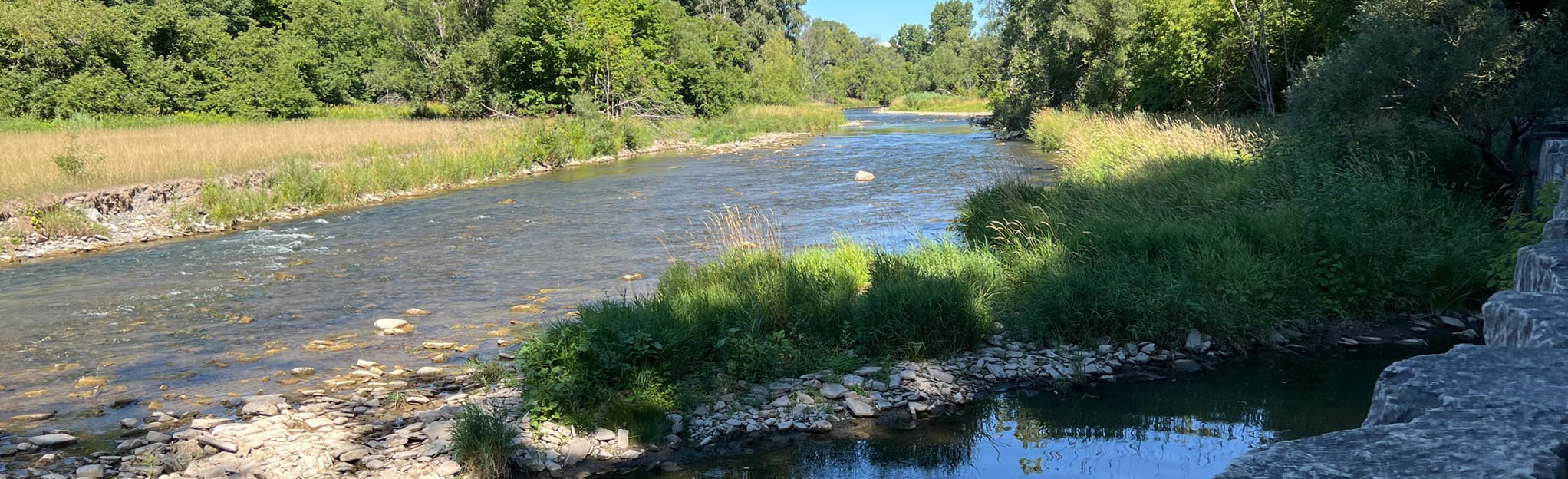 David J Culham Trail, Ontario, Canada - 997 Reviews, Map | AllTrails